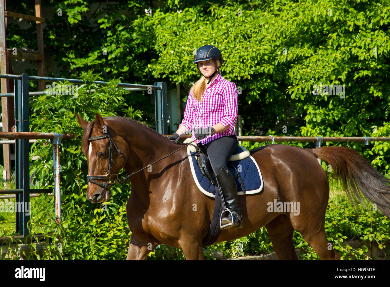 Horseback riding girl on paddock Stock Photo - Alamy