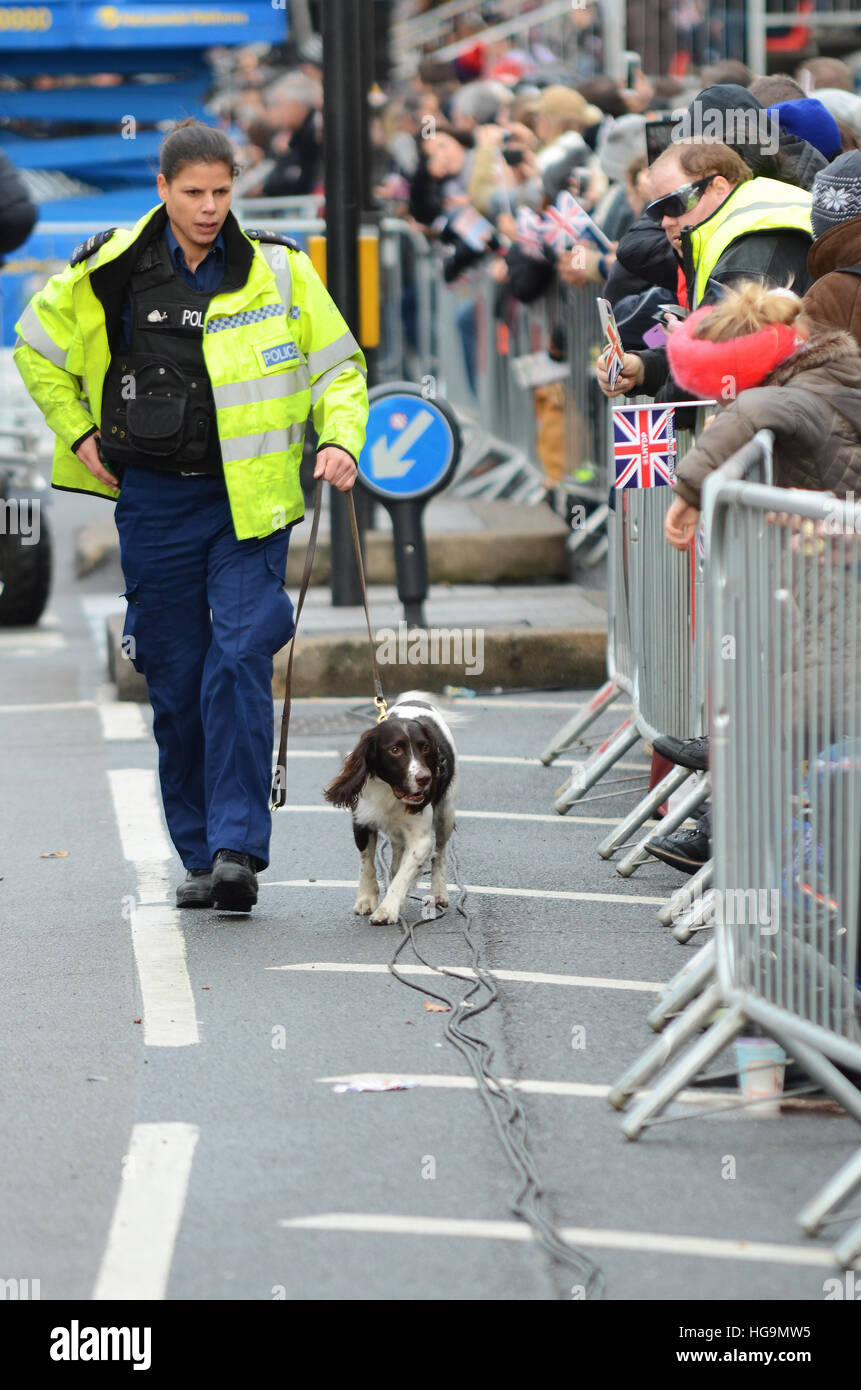 A police sniffer dog checking the crowd barrier before London's New ...