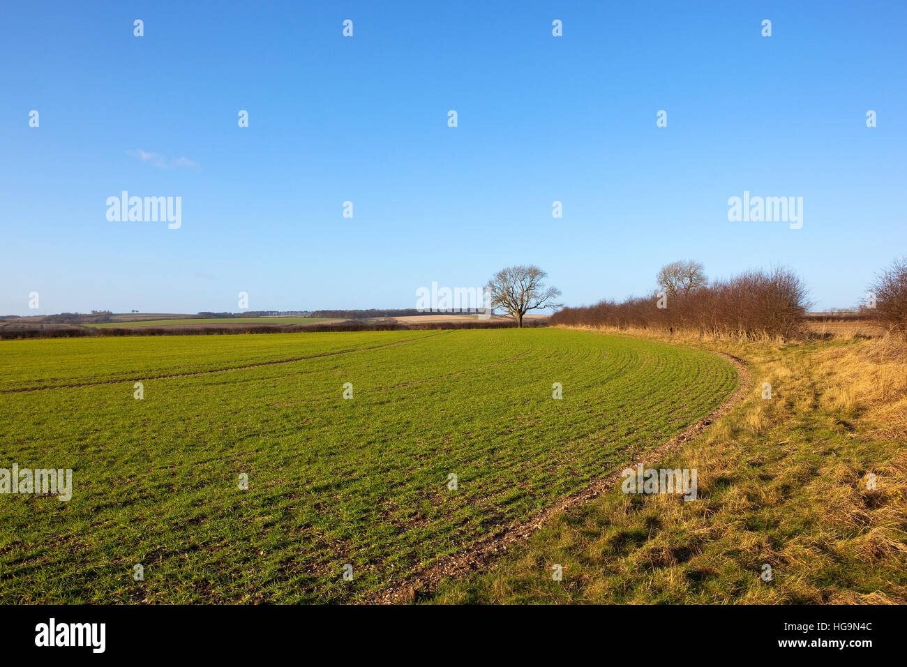 Hills hedgerows woods hi-res stock photography and images - Alamy