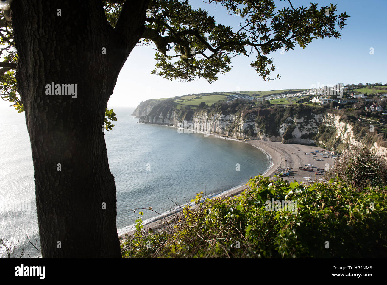 Pretty Devon Village Stock Photos & Pretty Devon Village Stock Images ...