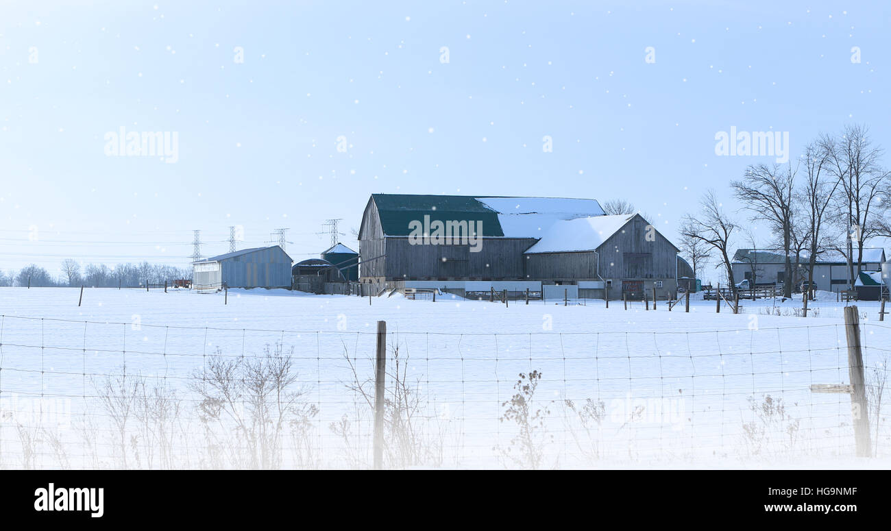 An Old barn with gently falling snow Stock Photo - Alamy