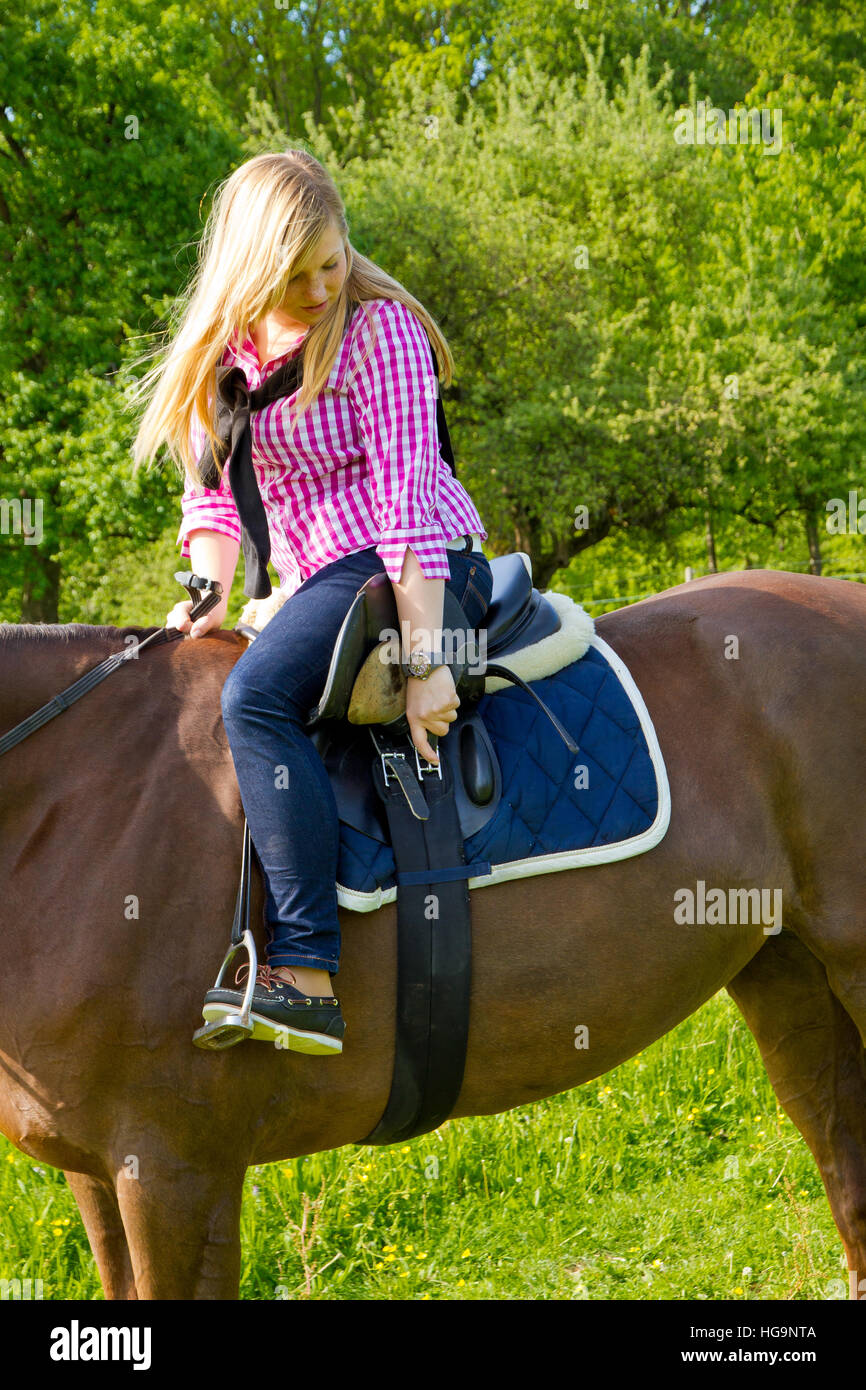 Girth hi-res stock photography and images - Alamy