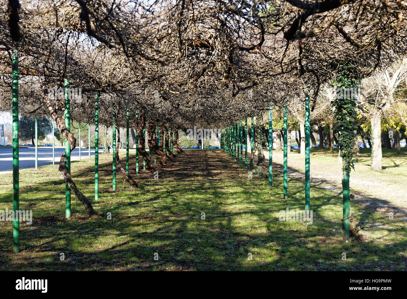 Outdoor covered corridor hi-res stock photography and images - Alamy