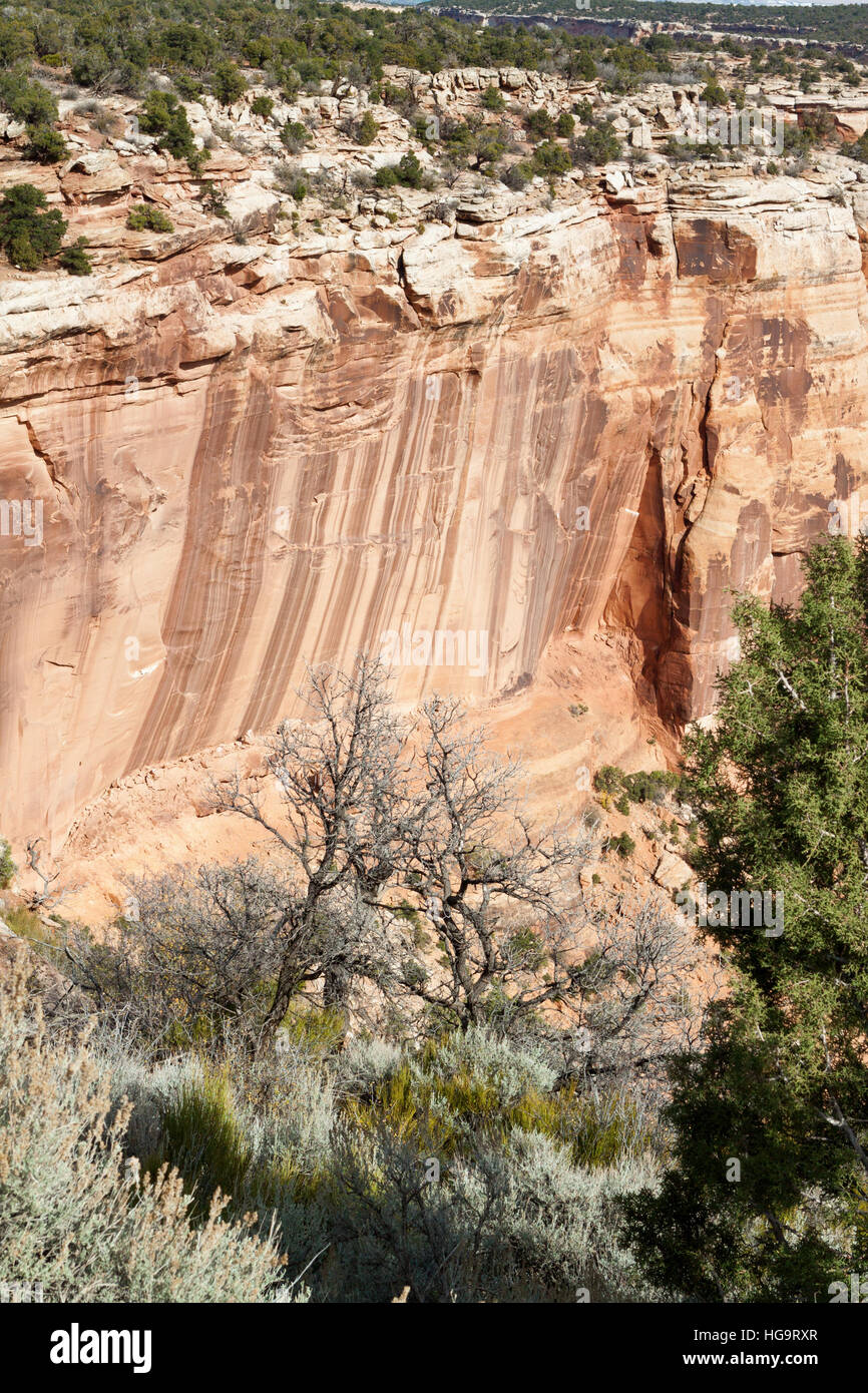 Jurassic wingate sandstone hi-res stock photography and images - Alamy