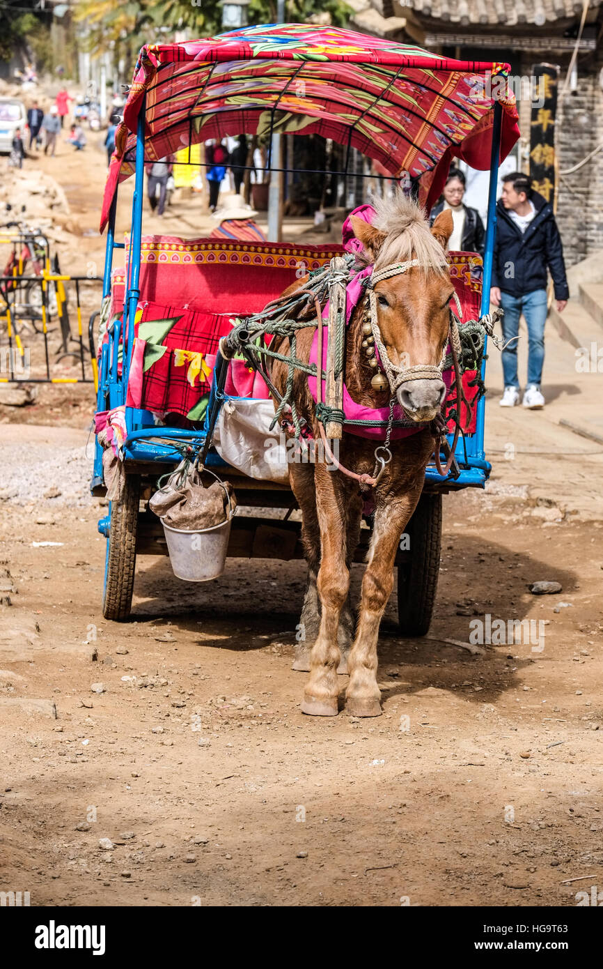 A decorated horse wagon in a Chinese village Stock Photo - Alamy