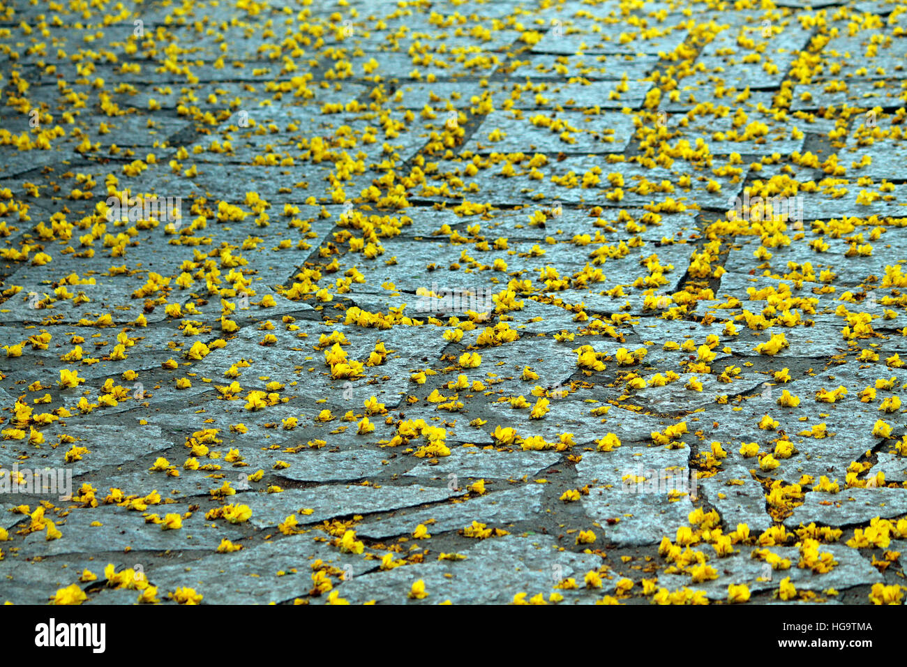 Pavement wash hi-res stock photography and images - Alamy