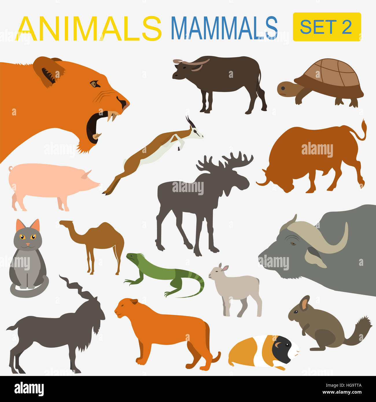 Animals mammals icon set. Vector flat style. Vector illustration Stock ...
