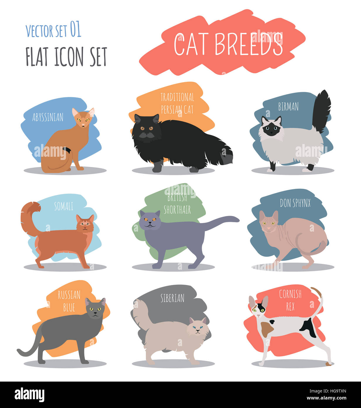 Cat breeds icon set flat style. Vector illustration Stock Photo - Alamy