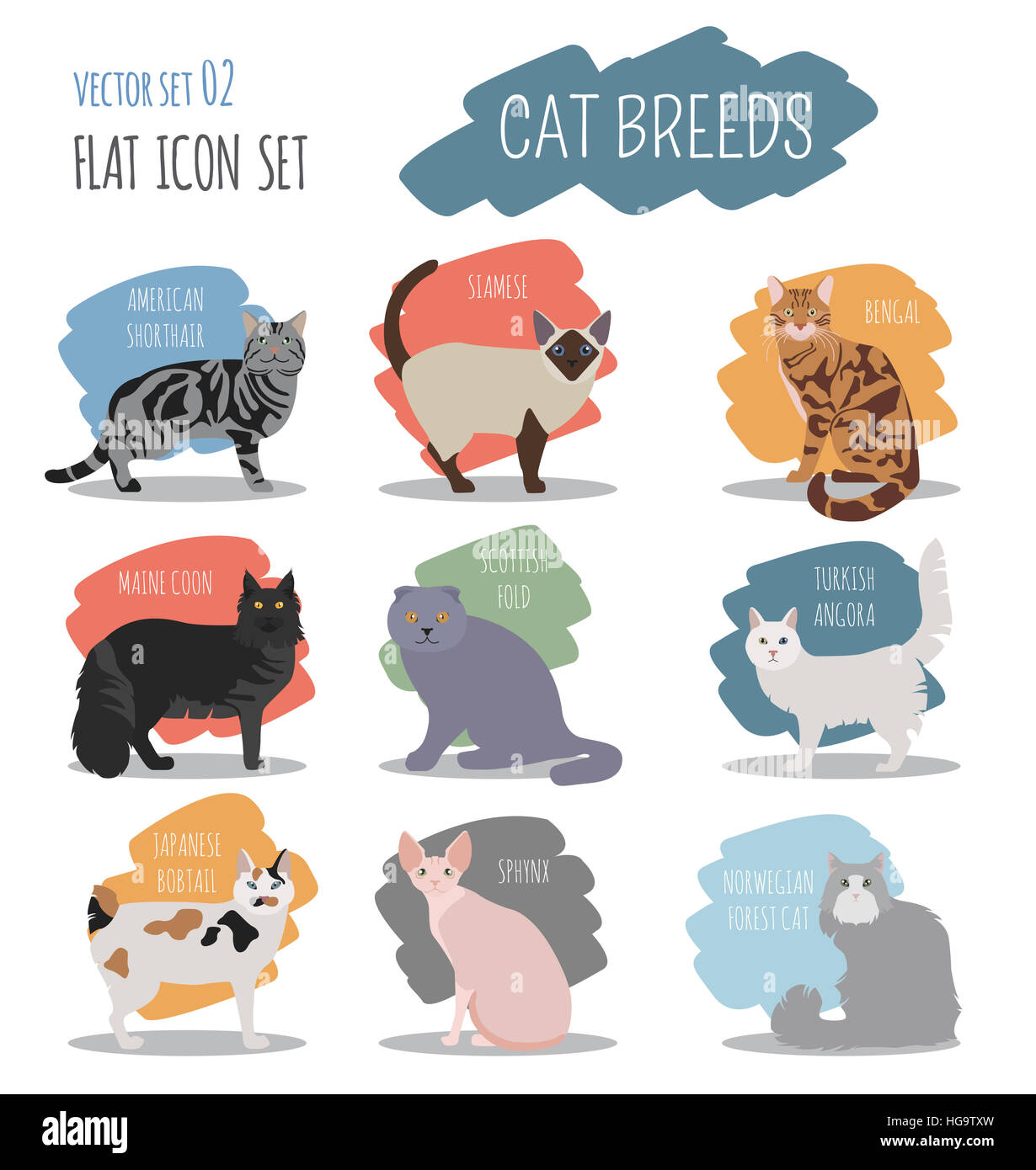 Cat breeds icon set flat style. Vector illustration Stock Photo - Alamy