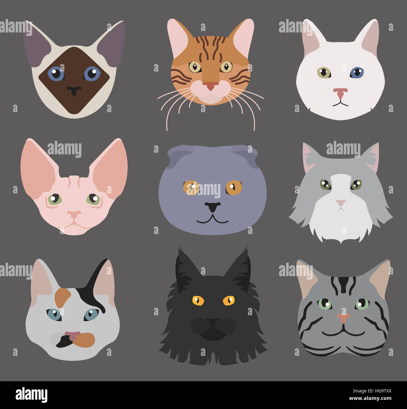 Cat breeds icon set flat style. Vector illustration Stock Photo - Alamy