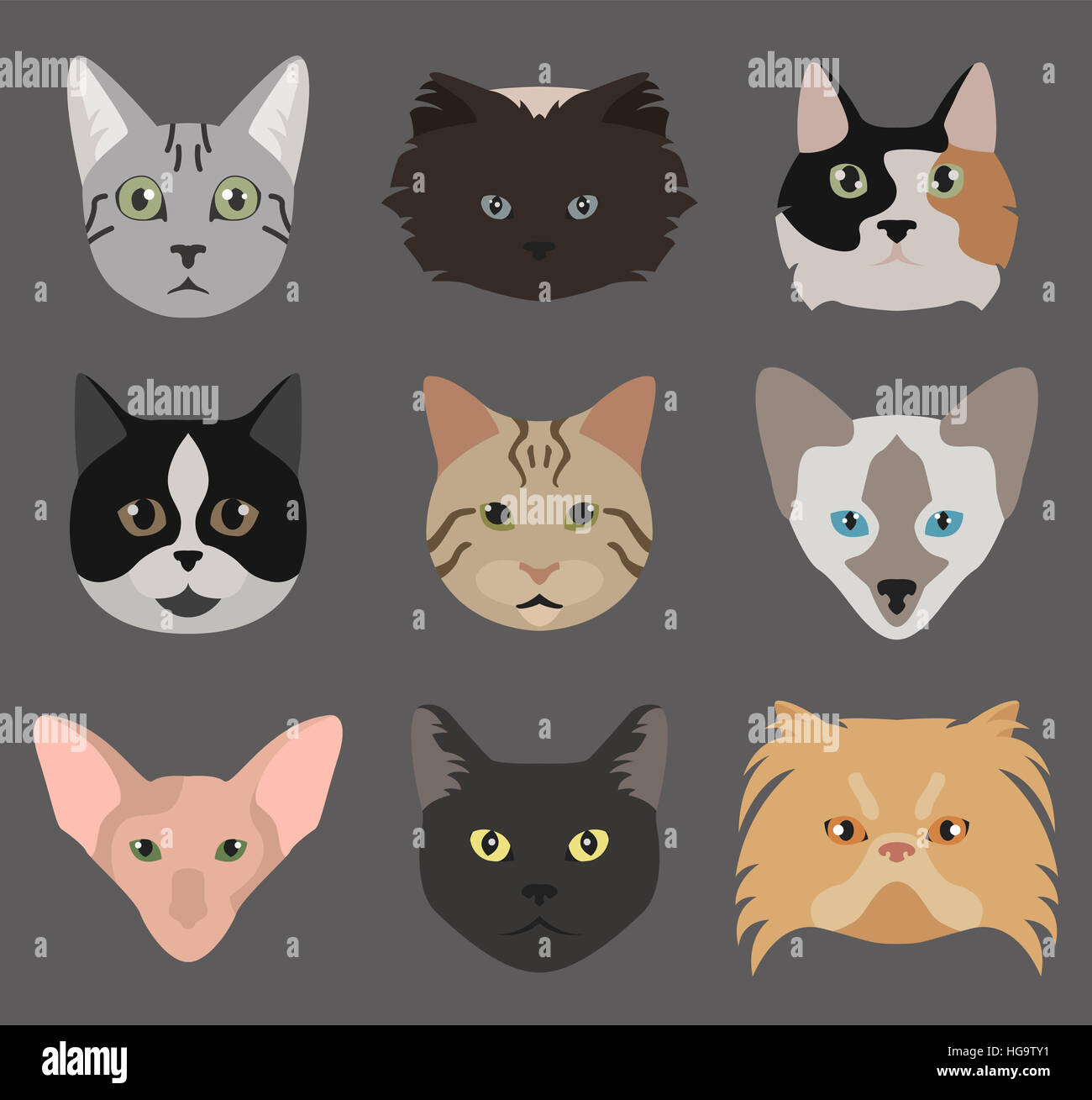 Cat breeds icon set flat style. Vector illustration Stock Photo - Alamy
