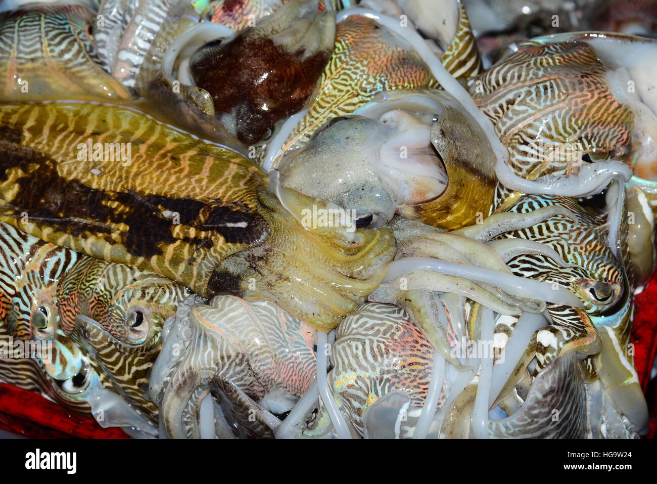 Verity food hi-res stock photography and images - Alamy