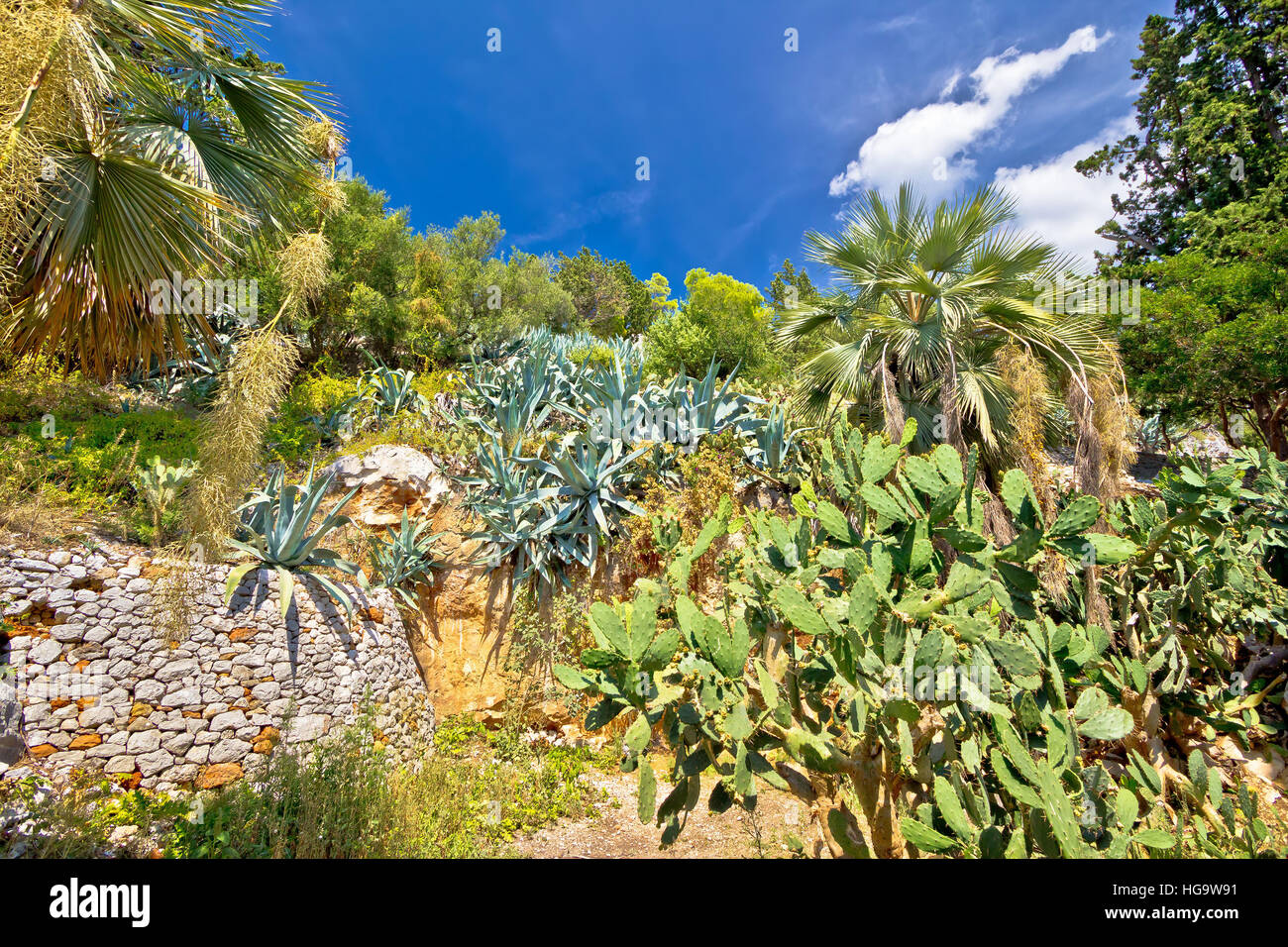 Mediterranean plants green landscape hill view Stock Photo - Alamy