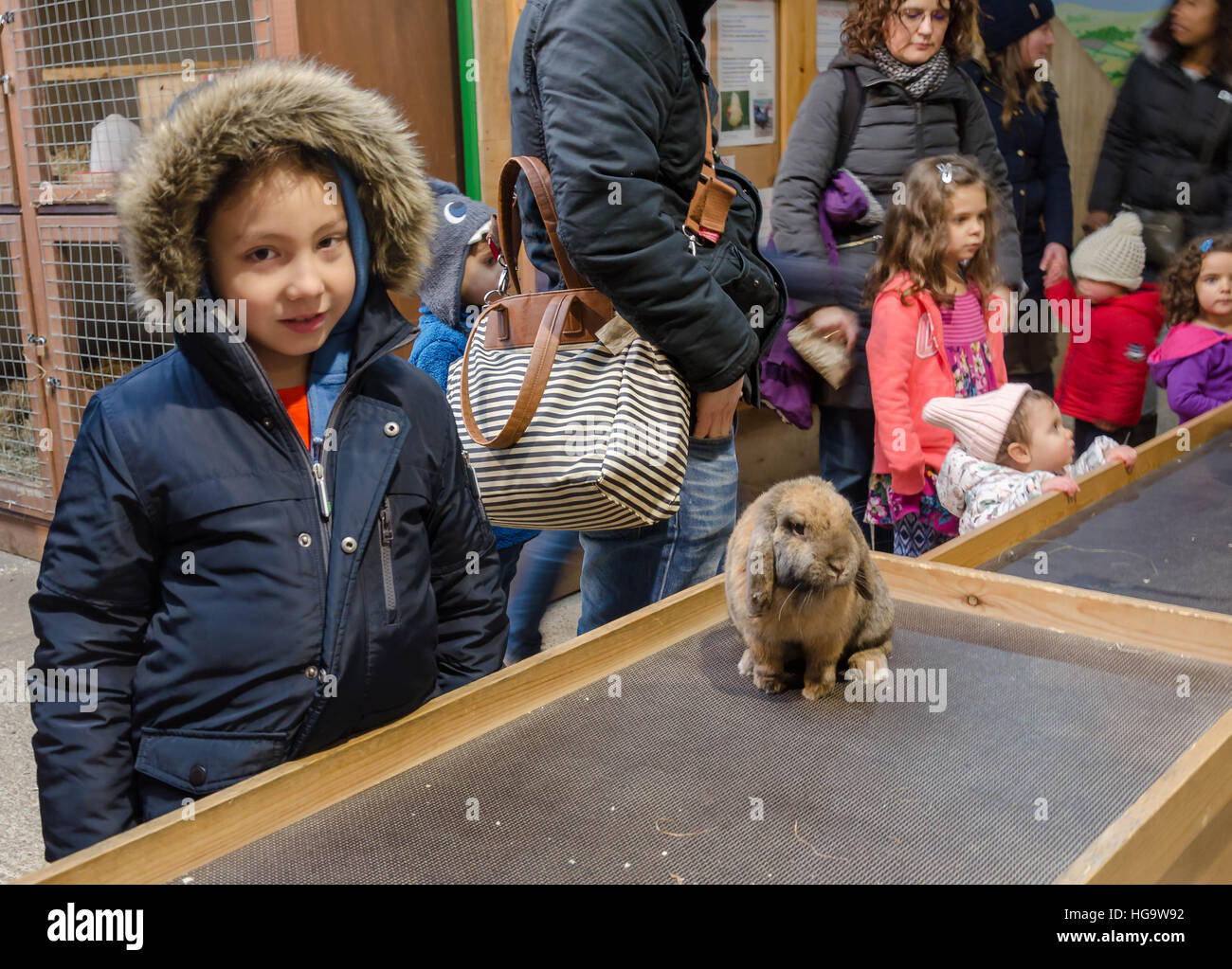 Fun at a petting zoo Stock Photo - Alamy