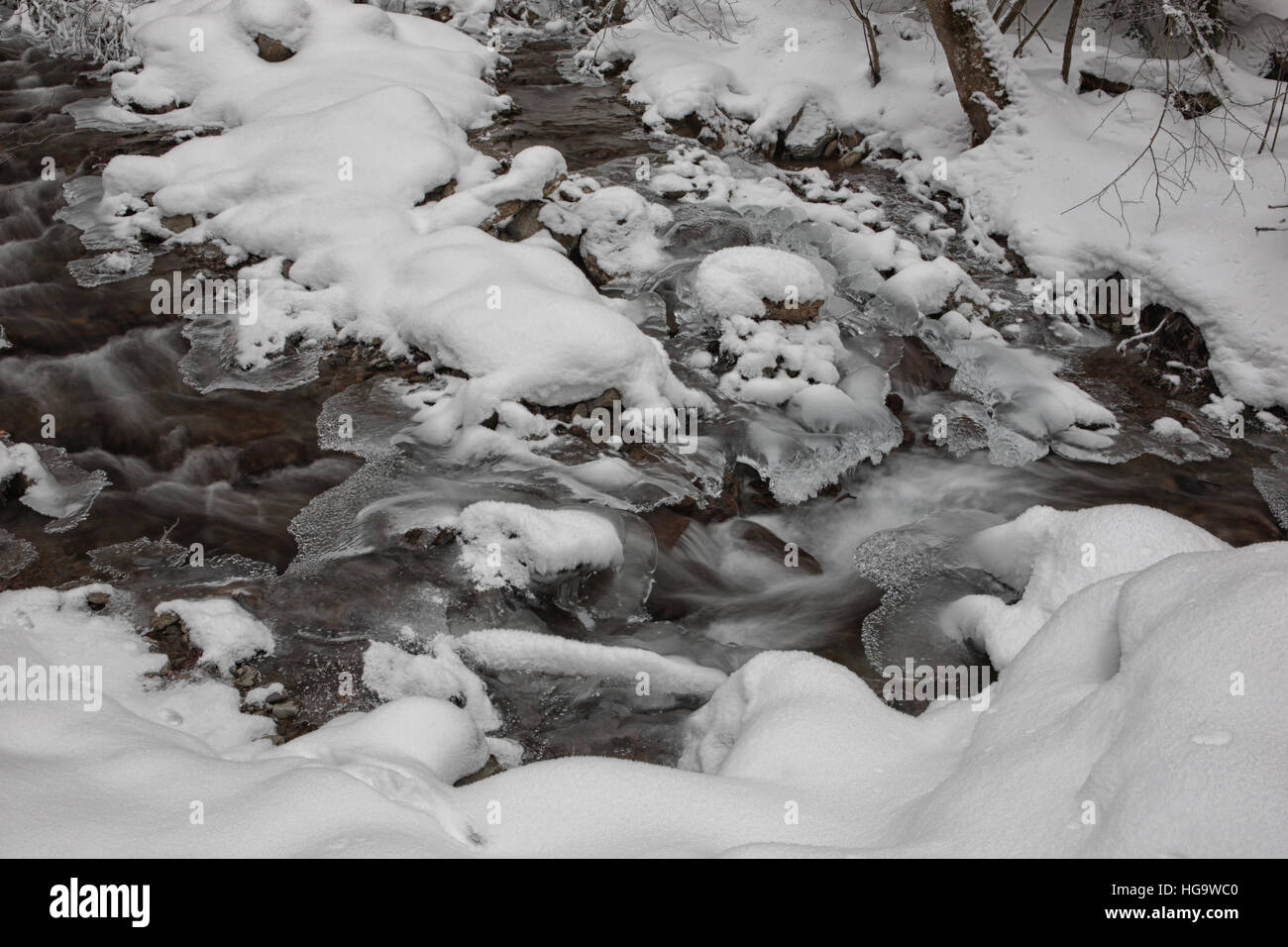 Freezing stream in the mountains of the Carpathians Stock Photo - Alamy