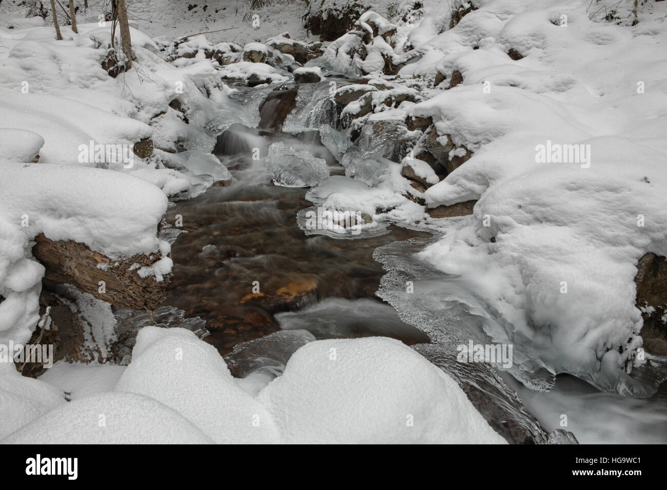 Freezing stream in the mountains of the Carpathians Stock Photo - Alamy