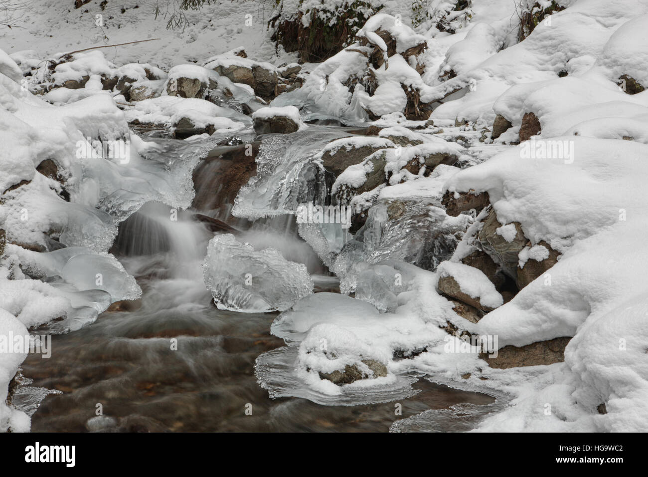 Freezing stream in the mountains of the Carpathians Stock Photo - Alamy