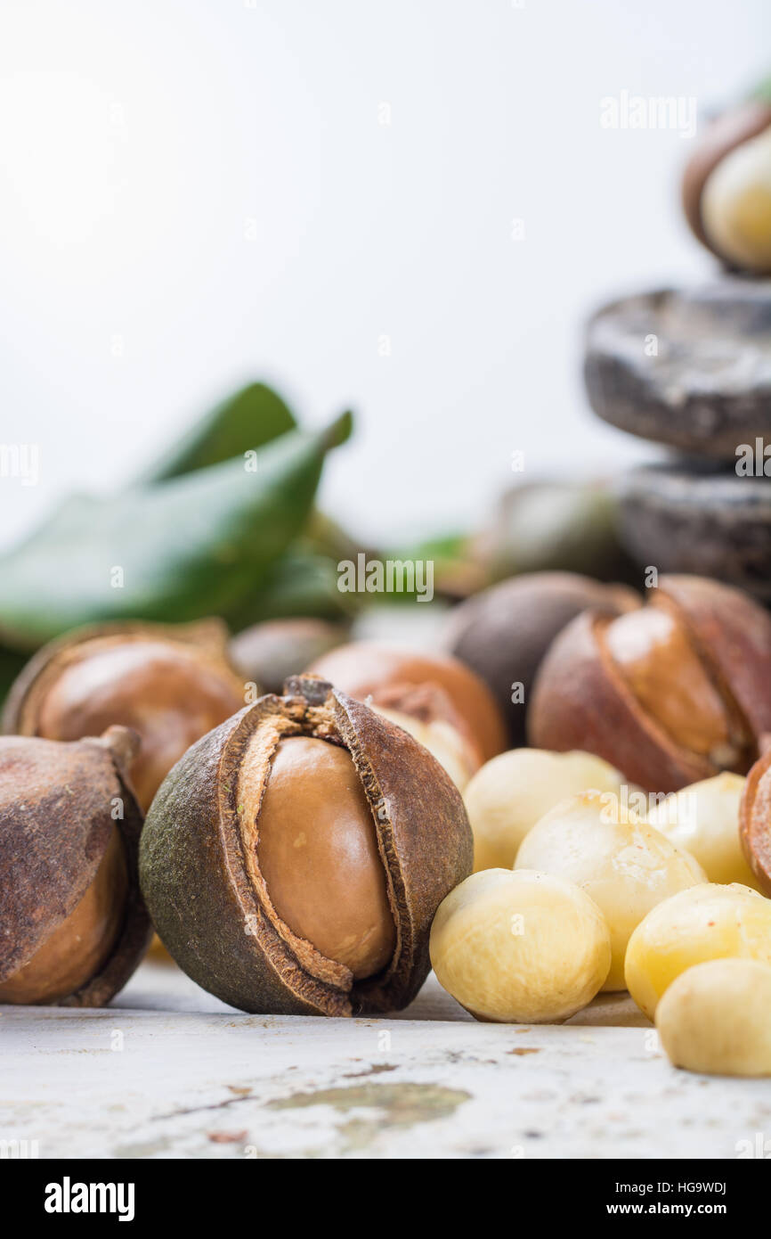 Macadamia nuts harvest close up Stock Photo - Alamy