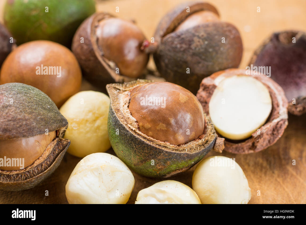 Macadamia nuts harvest close up Stock Photo - Alamy