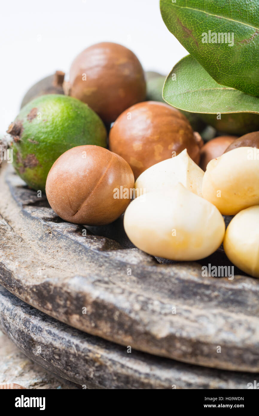 Bauple nuts hi-res stock photography and images - Alamy