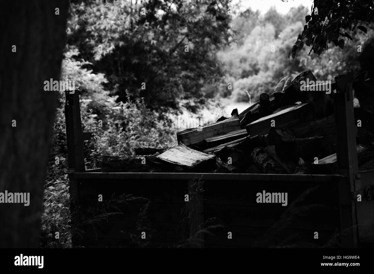 Tree trailer Black and White Stock Photos & Images - Alamy