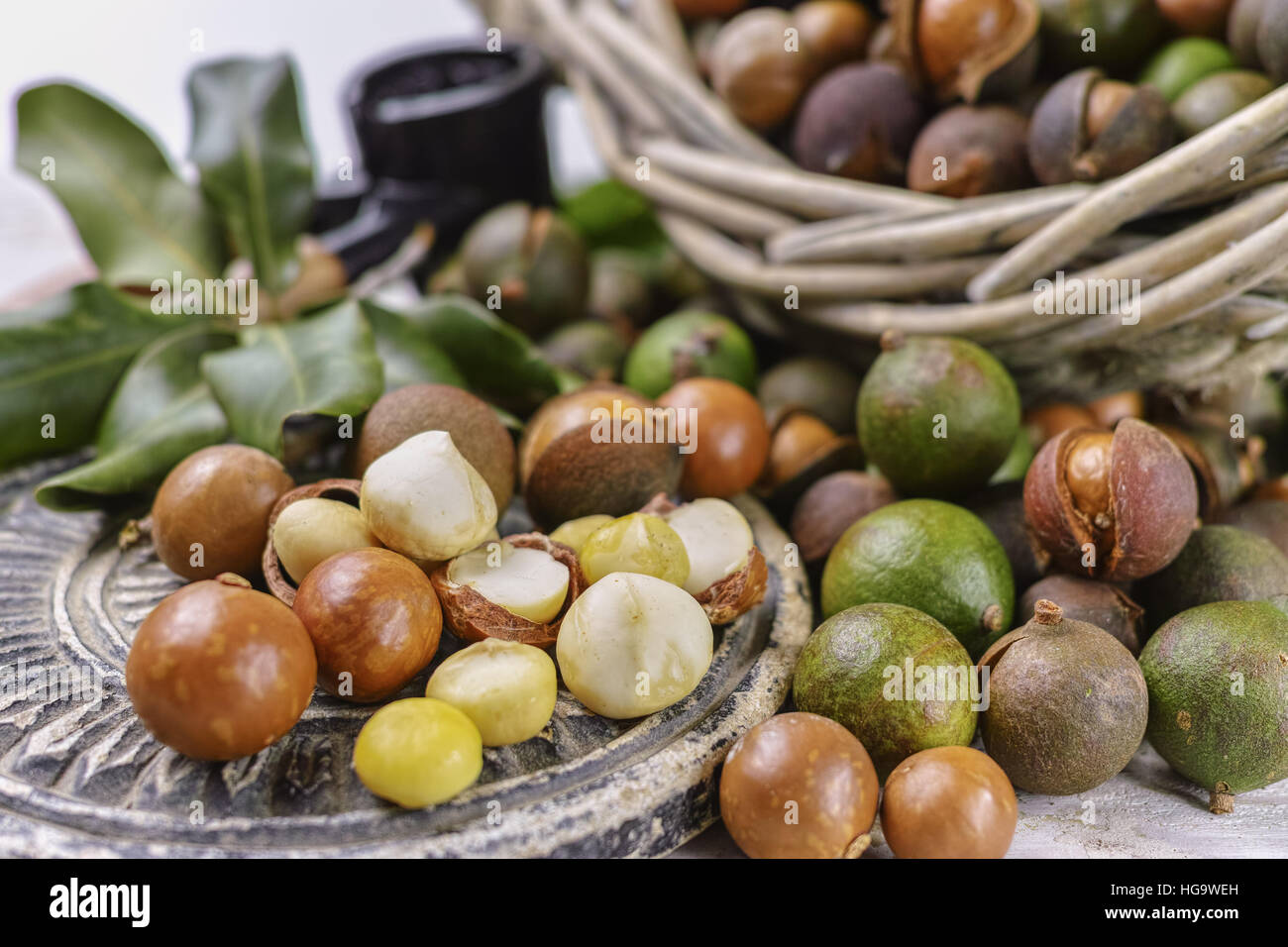 Macadamia nuts harvest close up Stock Photo - Alamy