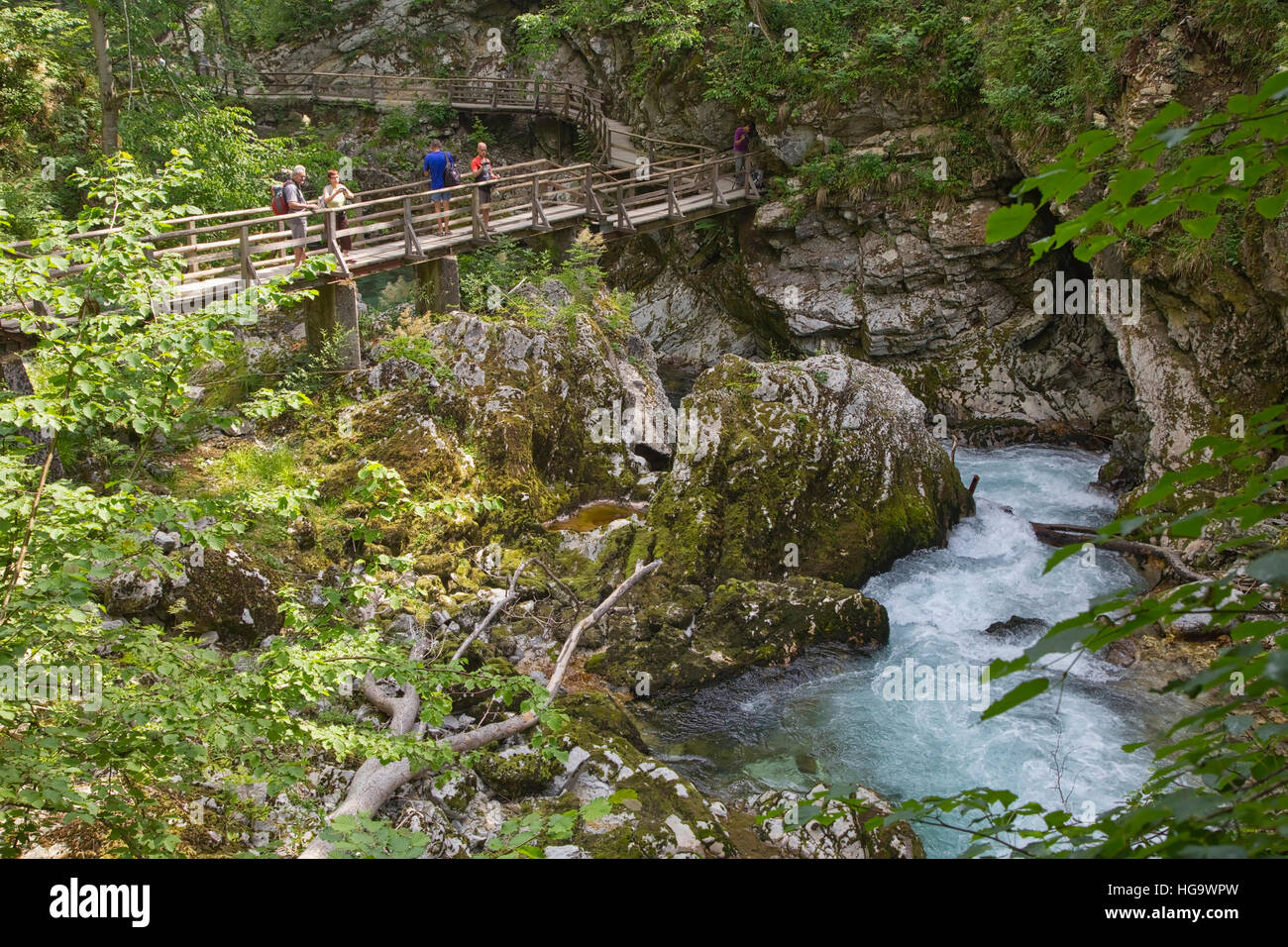 The Radovna river cutting through the Vintgar Gorge near Bled, Upper ...