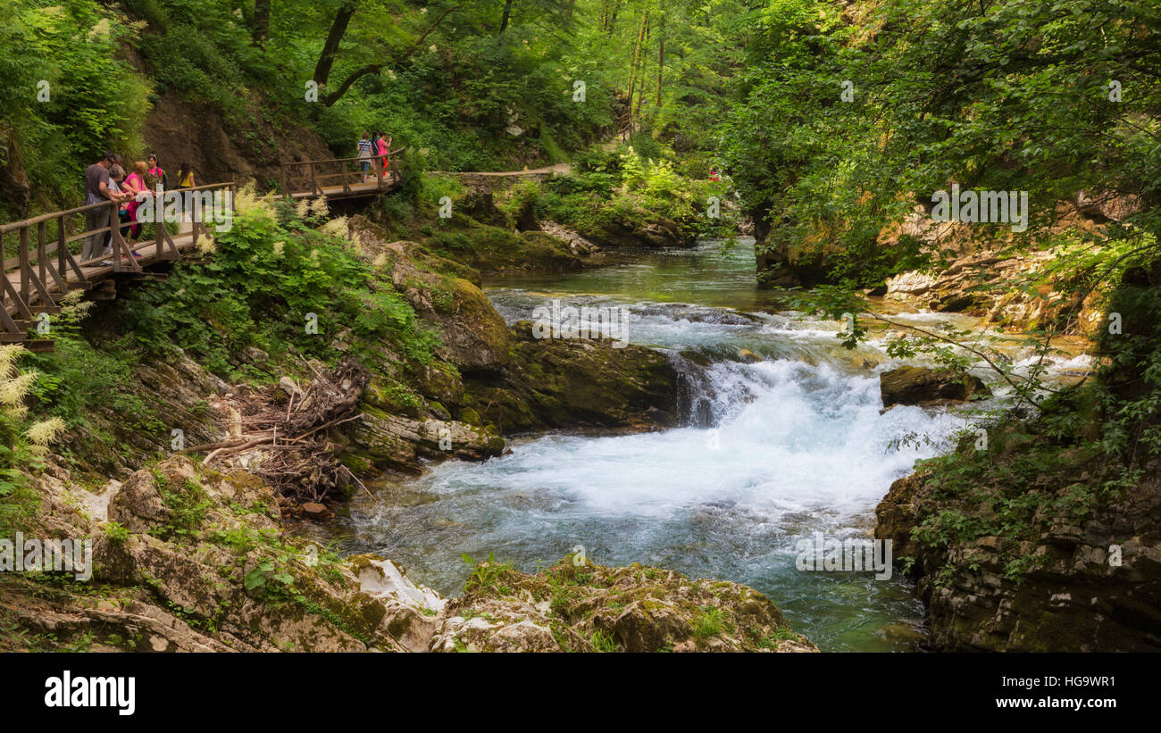 The Radovna river cutting through the Vintgar Gorge near Bled, Upper ...