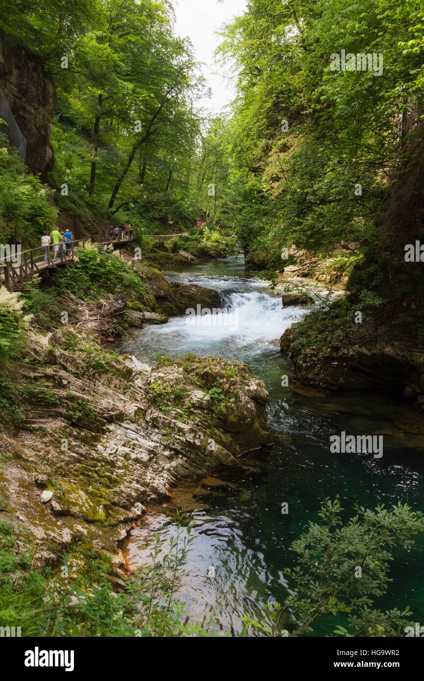 The Radovna river cutting through the Vintgar Gorge near Bled, Upper ...