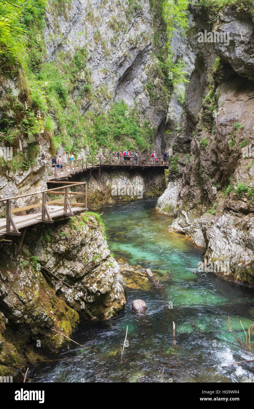 The Radovna river cutting through the Vintgar Gorge near Bled, Upper ...