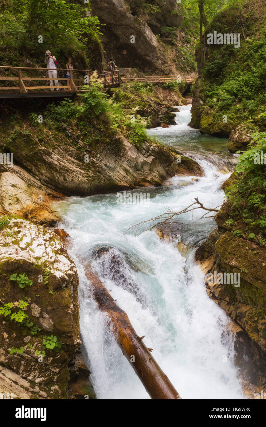 The Radovna river cutting through the Vintgar Gorge near Bled, Upper ...