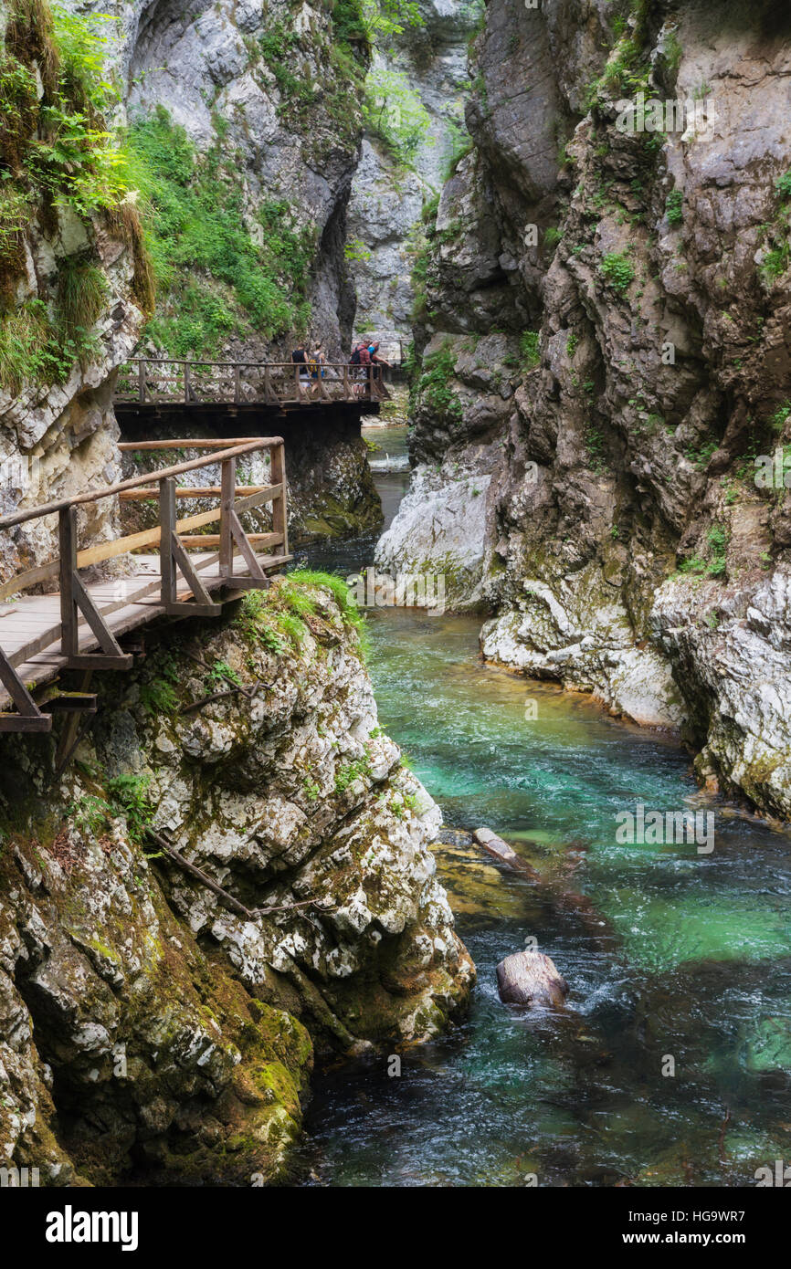 The Radovna river cutting through the Vintgar Gorge near Bled, Upper ...