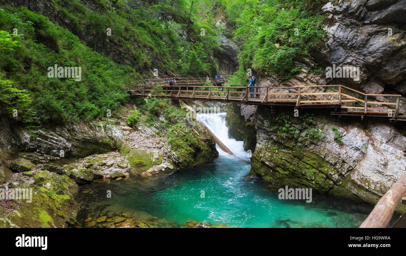 The Radovna river cutting through the Vintgar Gorge near Bled, Upper ...