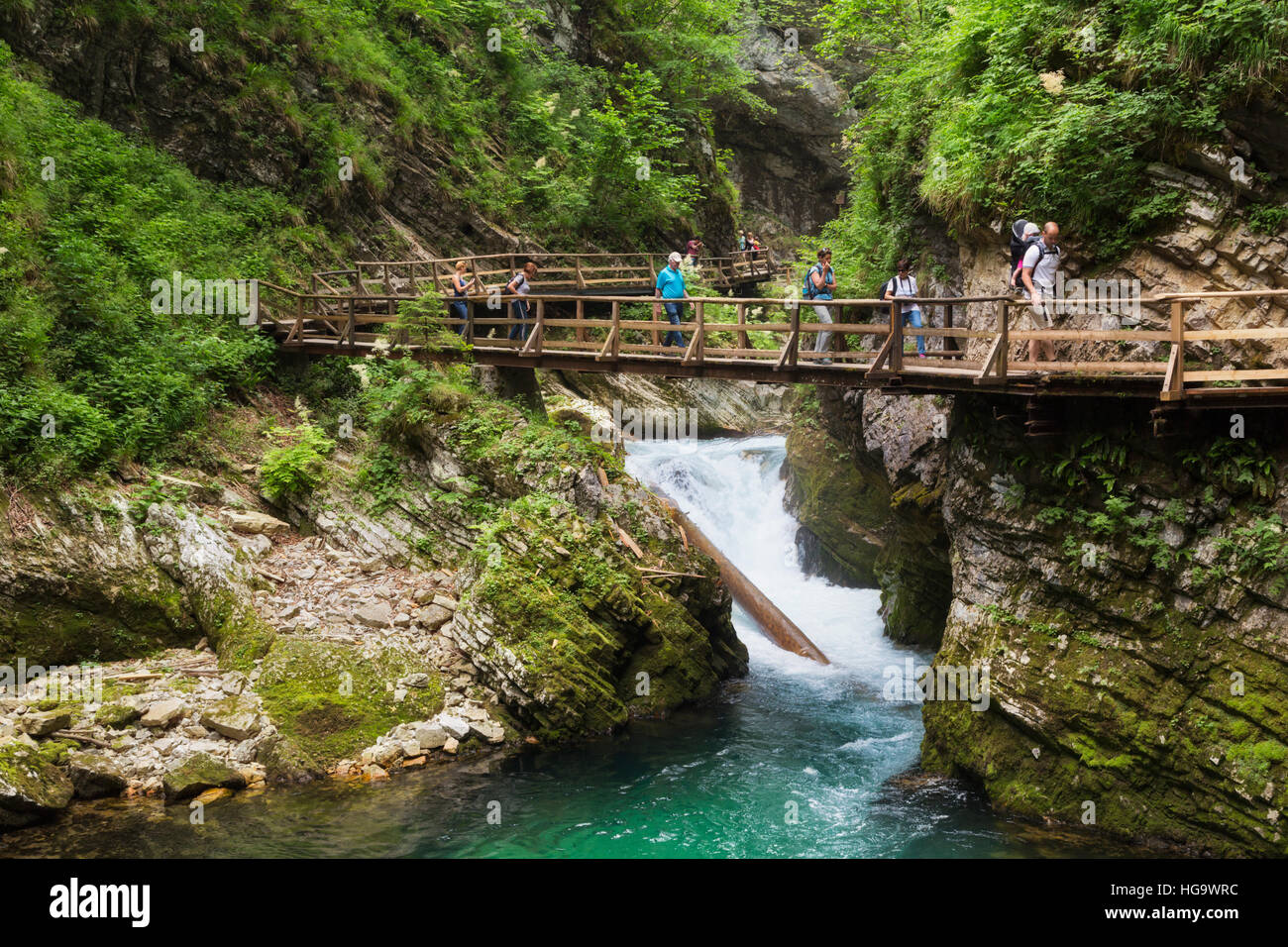 The Radovna river cutting through the Vintgar Gorge near Bled, Upper ...