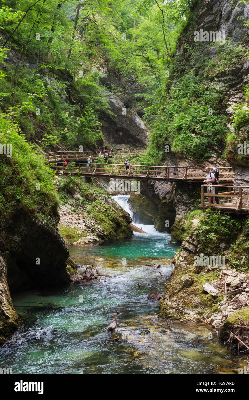The Radovna river cutting through the Vintgar Gorge near Bled, Upper ...