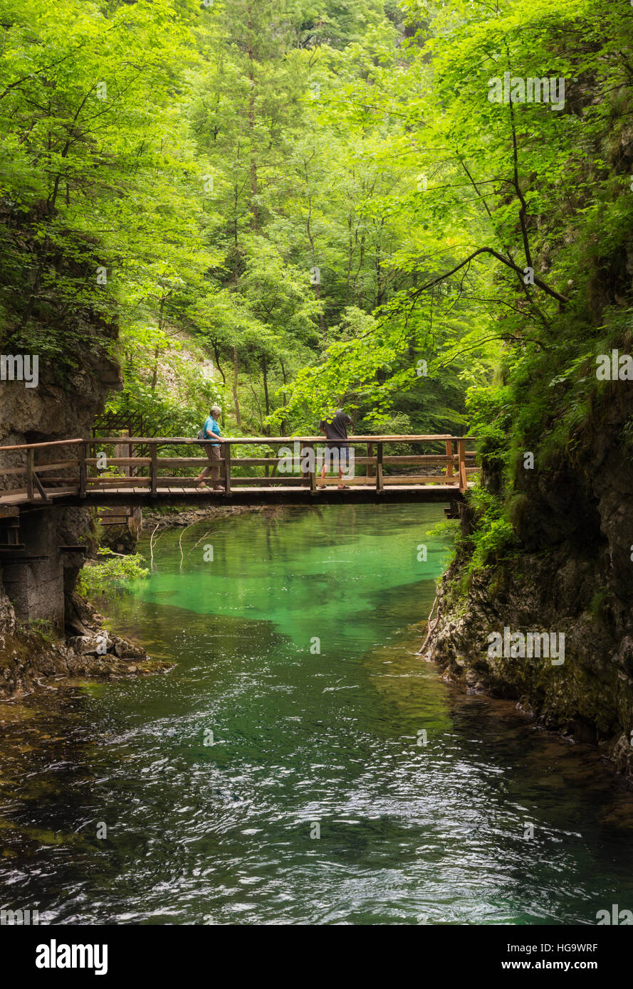 The Radovna river cutting through the Vintgar Gorge near Bled, Upper ...