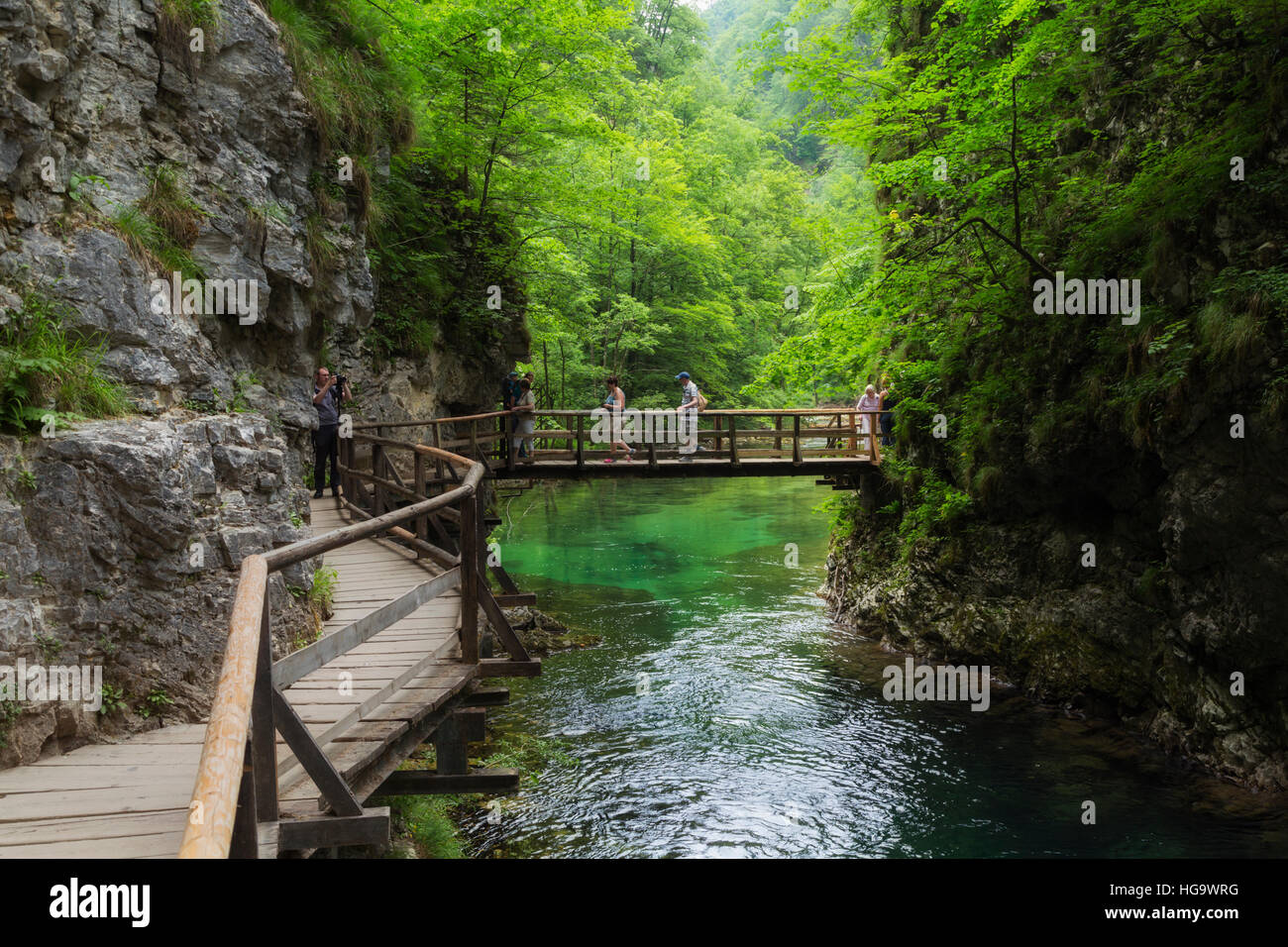 The Radovna river cutting through the Vintgar Gorge near Bled, Upper ...