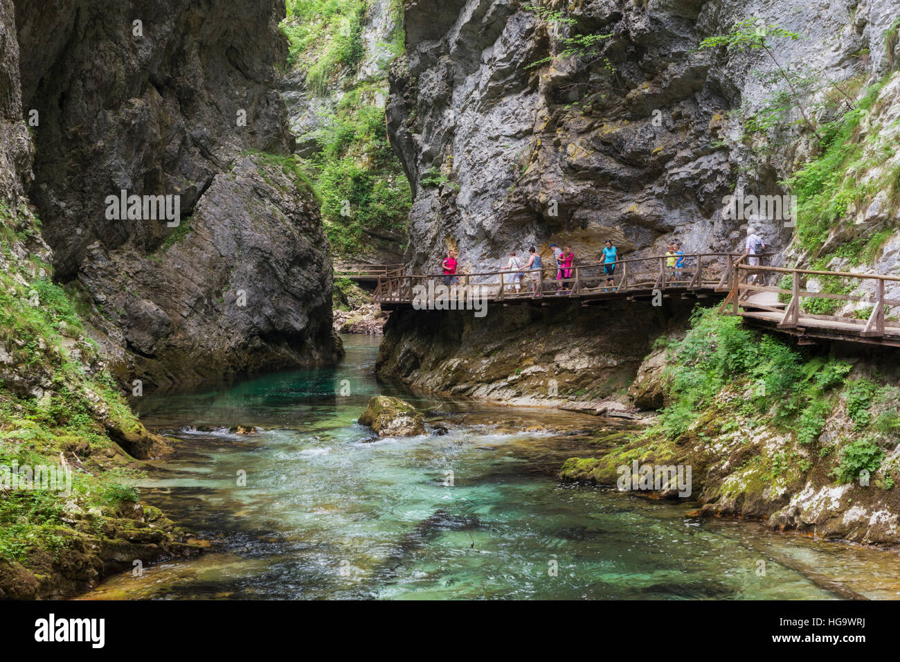 The Radovna river cutting through the Vintgar Gorge near Bled, Upper ...
