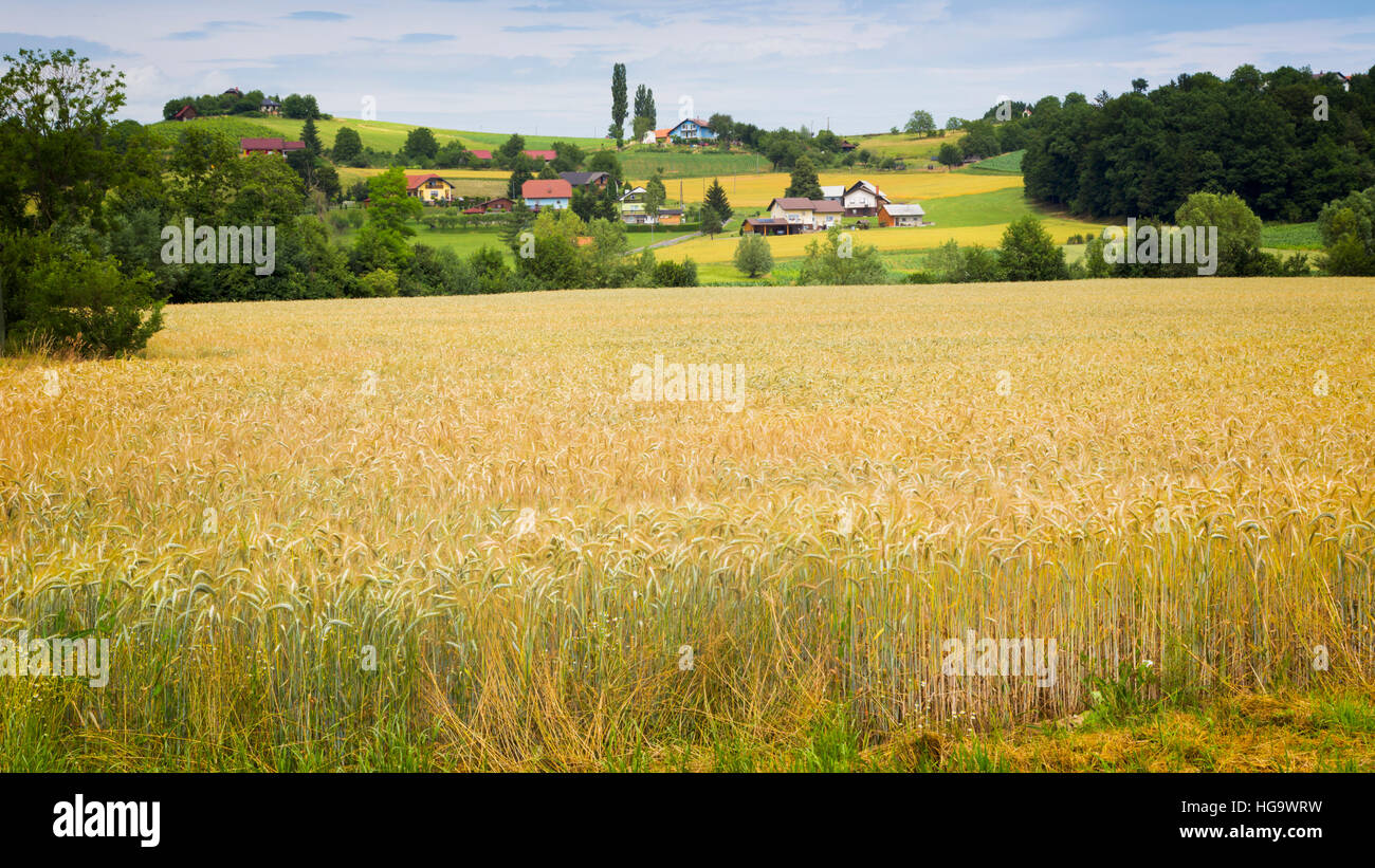 Slovenian agriculture hi-res stock photography and images - Alamy