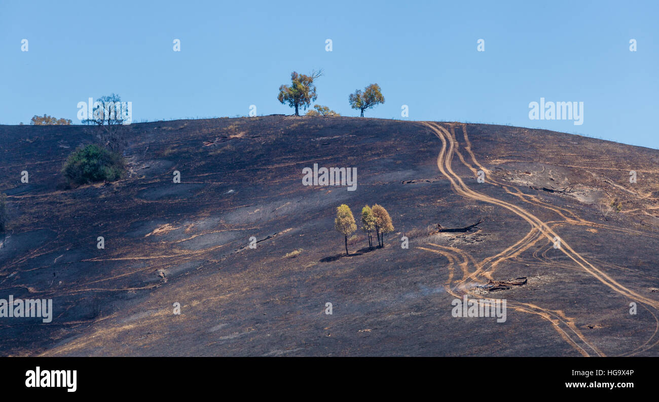 Planned burn australia hi-res stock photography and images - Alamy