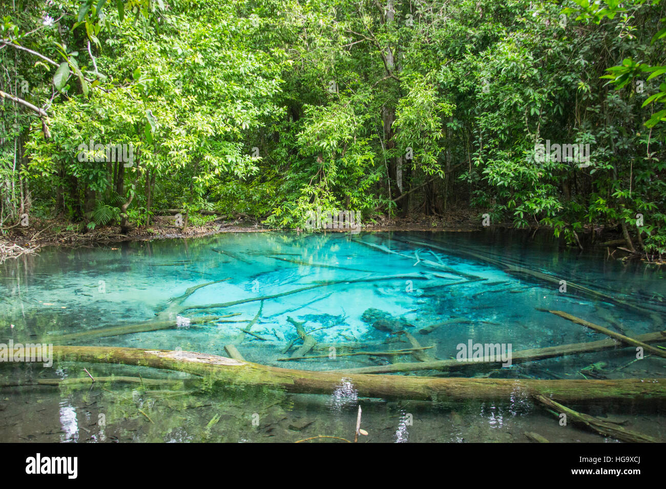 Emerald Pool (Sa Morakot), Krabi Thailand,Crystal clear blue and green ...