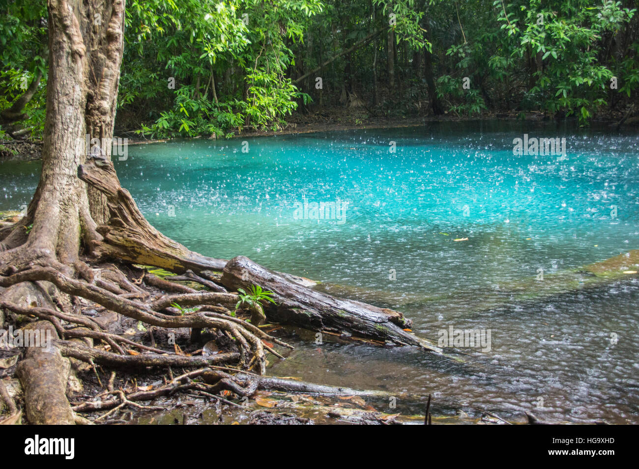 Sa morakot hi-res stock photography and images - Alamy
