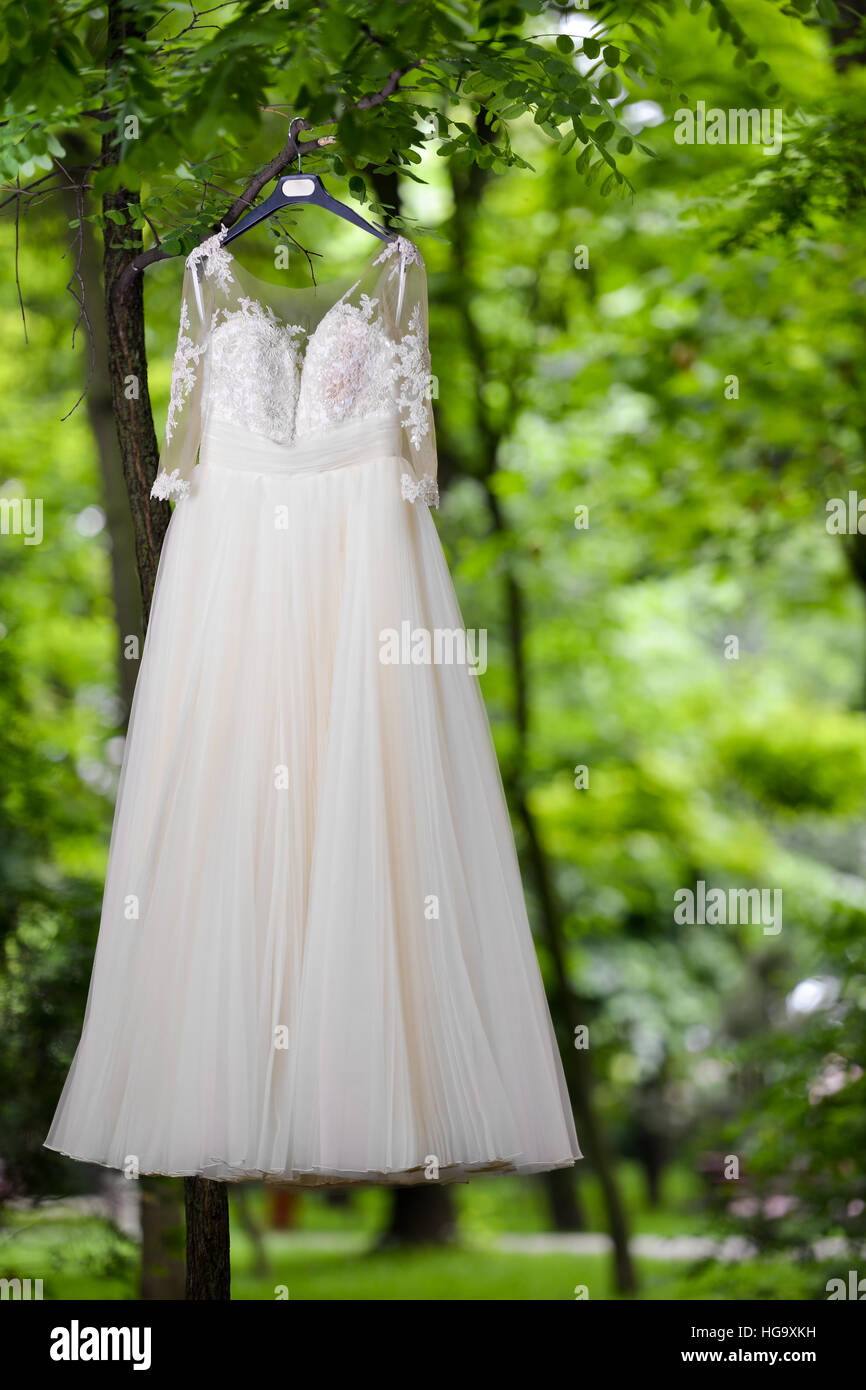 Wedding dress hanging in tree in natural light Stock Photo - Alamy