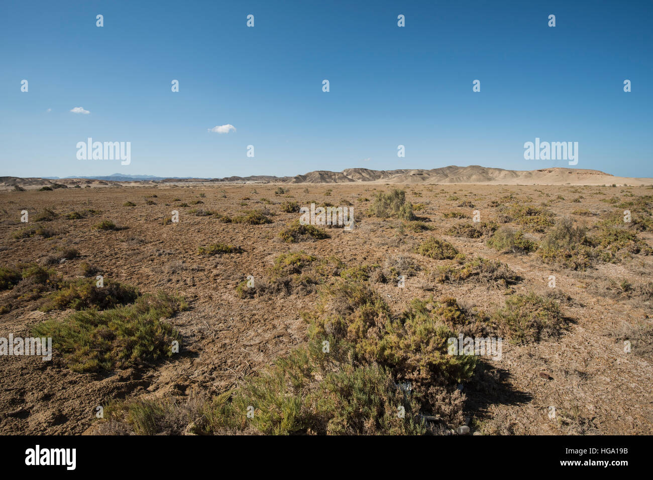 Desert bush vegetation on sand dunes in arid remote landscape ...