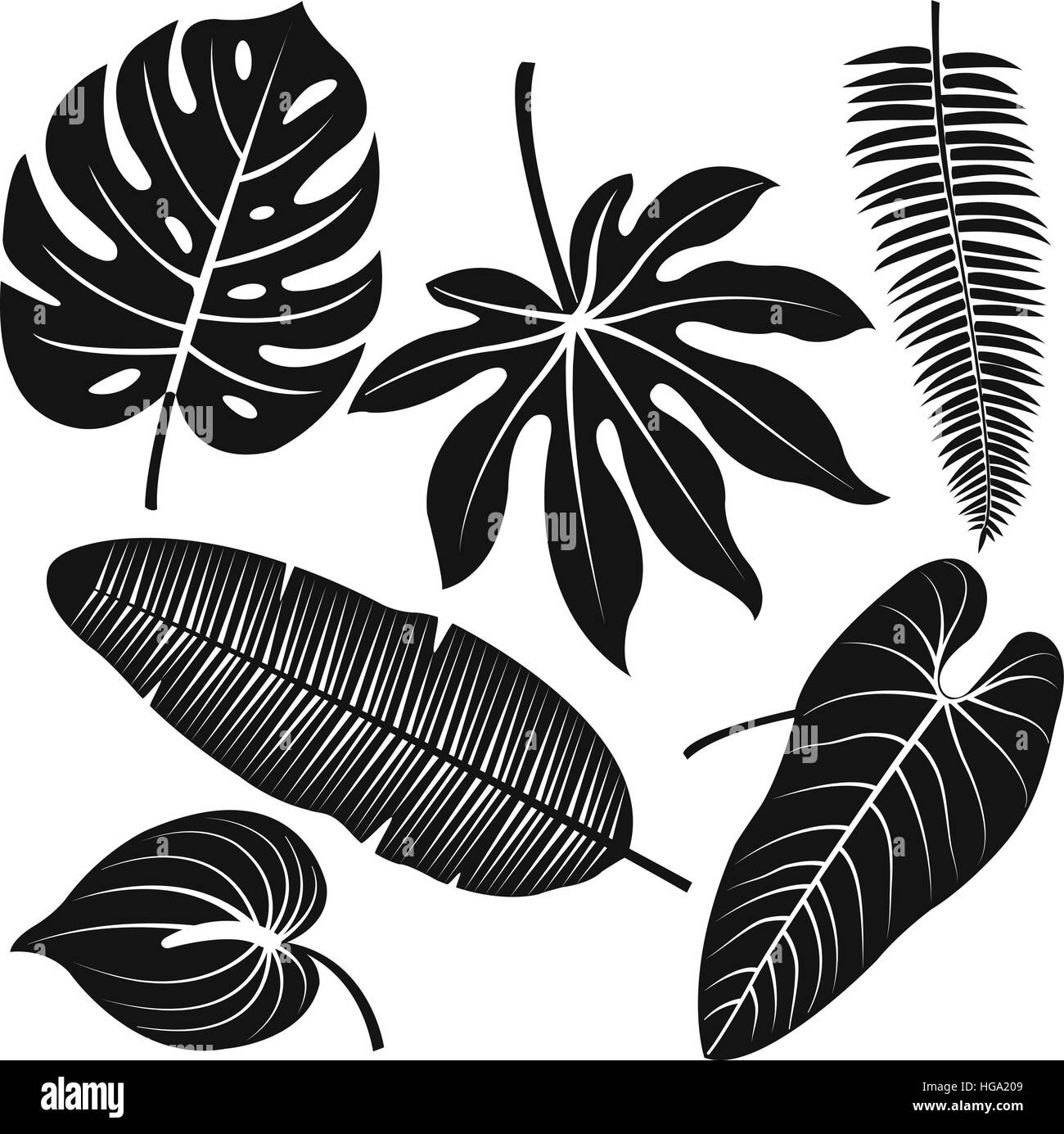 Tropical plant leaves vector silhouette collection Stock Vector Image ... Tropical plant leaves vector silhouette collection Stock Vector Image ...