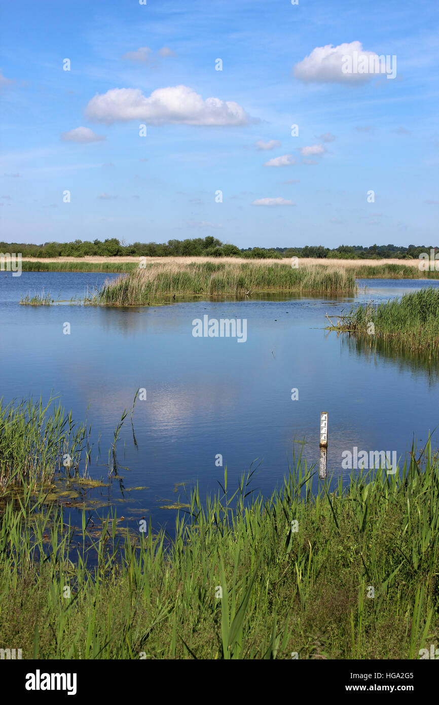 Strumpshaw fen landscape hi-res stock photography and images - Alamy