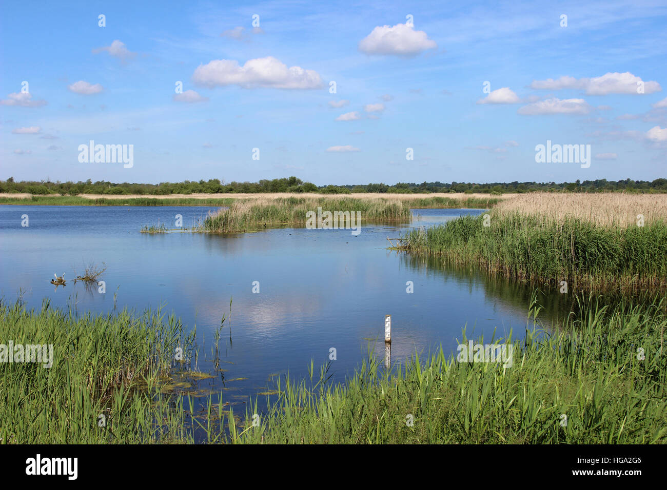 Strumpshaw fen landscape hi-res stock photography and images - Alamy