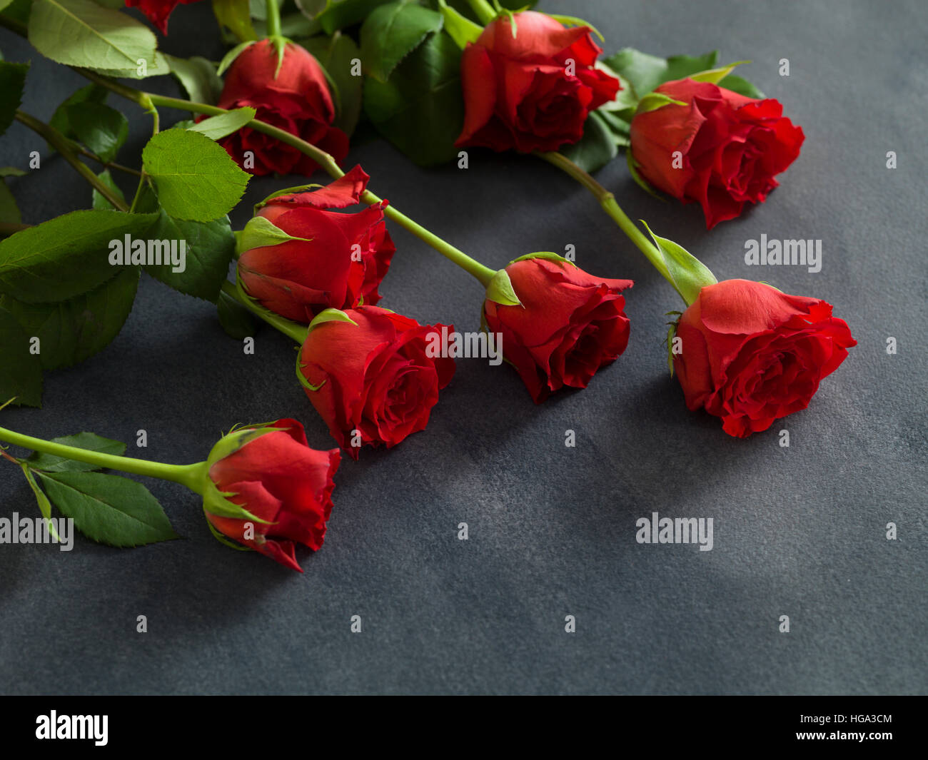 Beautiful group of roses on a grey background for a funural Stock Photo ...