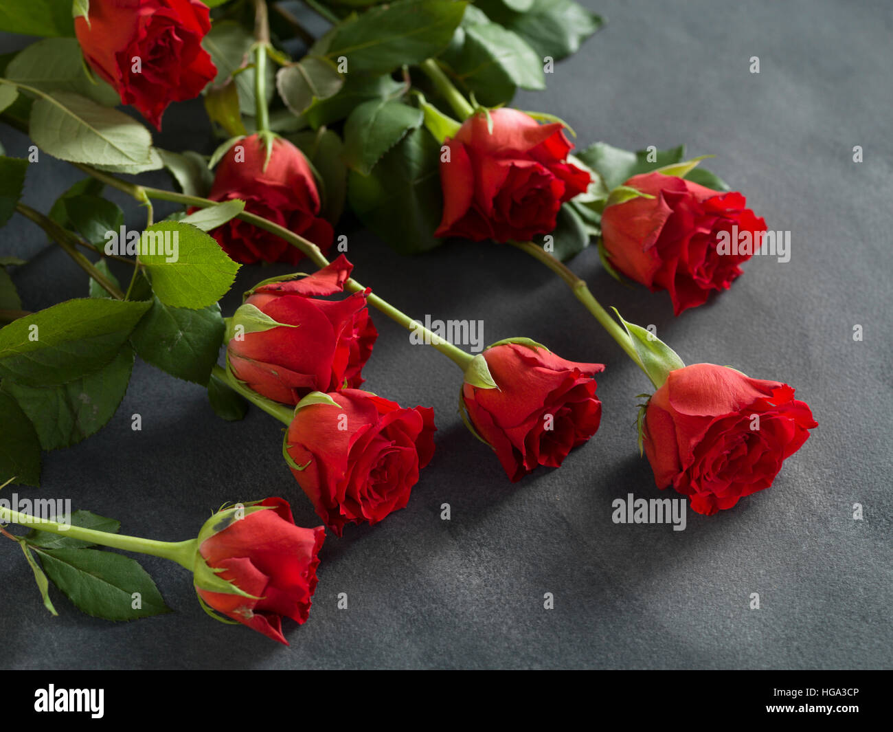 Beautiful bunch of roses on a grey background for a funeral Stock Photo ...