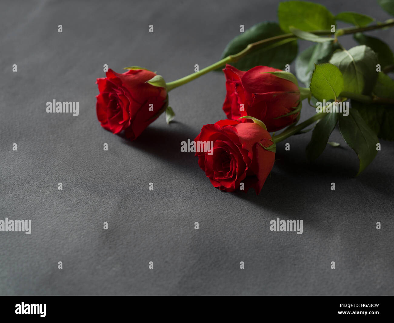 Red roses arrangement for a funeral on a grey background Stock Photo ...